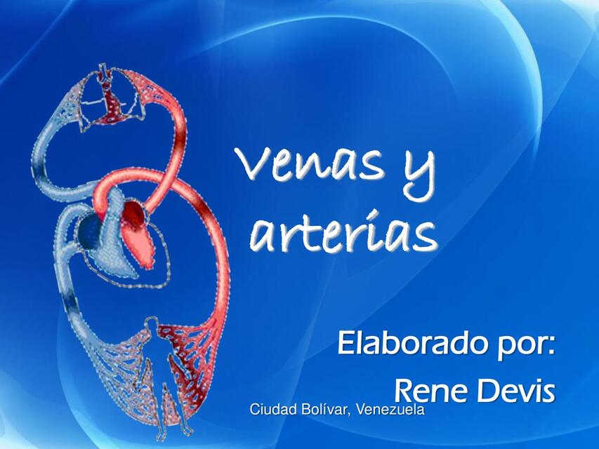 Venas y arterias | Edwin vaca | uDocz