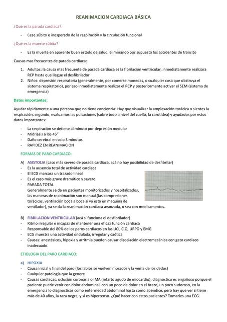 Resúmenes de reanimacion cardiopulmo | Descarga apuntes de reanimacion ...