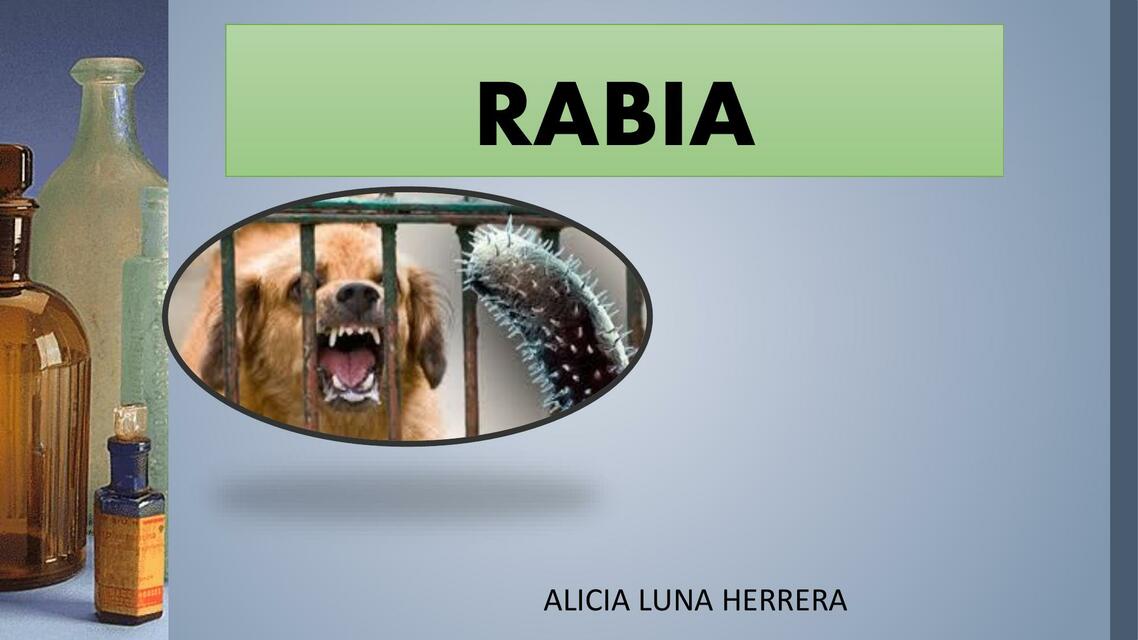 VACUNA DE LA RABIA | Alicia Luna Herrera | uDocz
