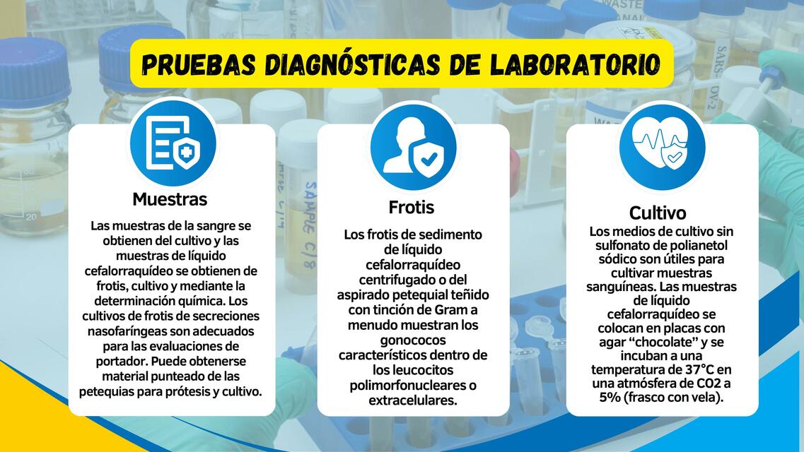 meningitis9 | veronica | uDocz