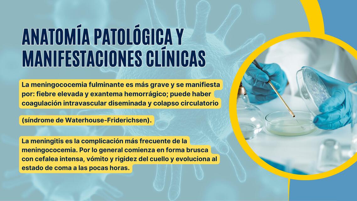 meningitis5 | veronica | uDocz