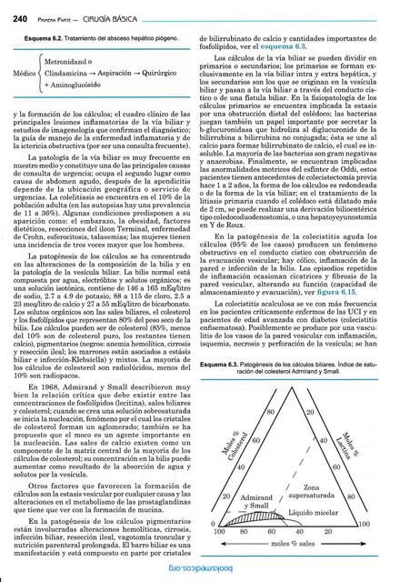 ANDOMEN AGUDO PDF8 | veronica | uDocz