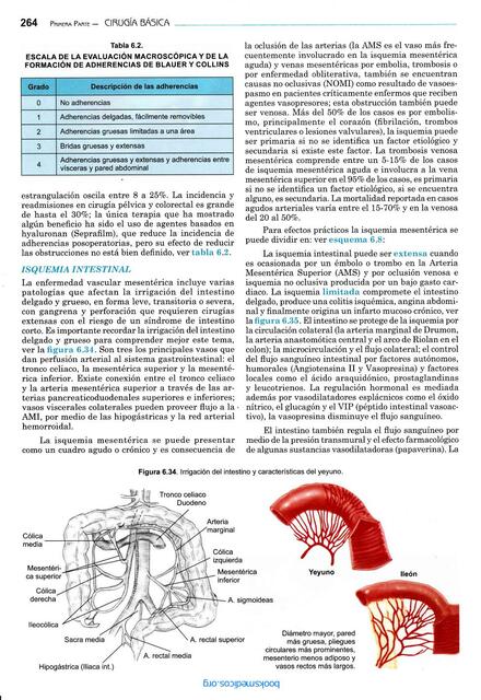 ANDOMEN AGUDO PDFkoffre | sofia | uDocz
