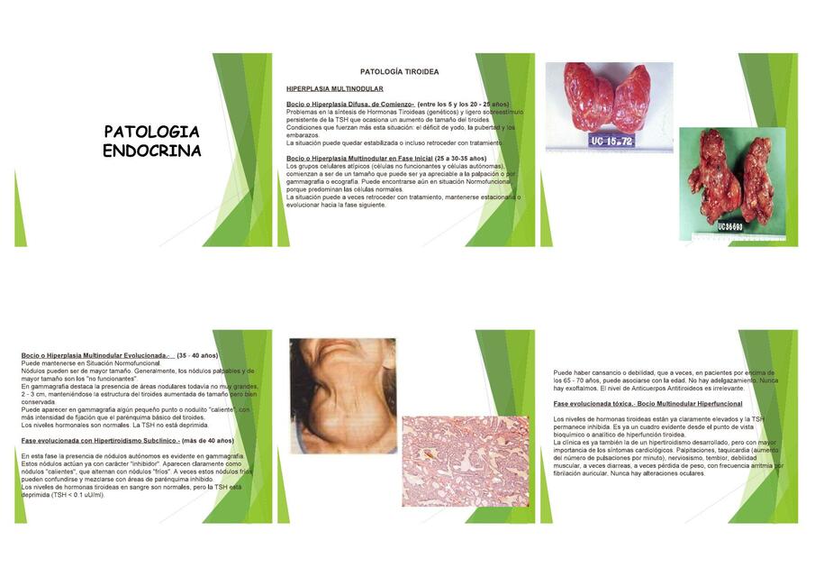 APUNTE PAT ENDOCRINO II | JOSE ALEJANDRO ROMAN SANTIAGO | uDocz