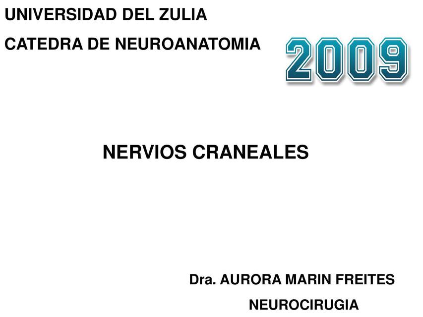 NERVIOS CRANEALES 1 convertido | LU | uDocz