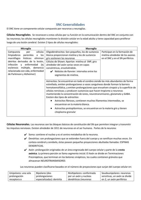 SNC generalidades | LU | uDocz