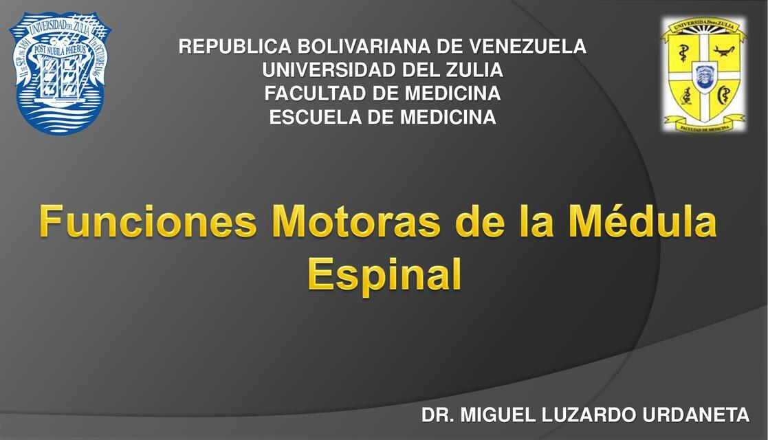 Funciones motoras de la ME | LU | uDocz