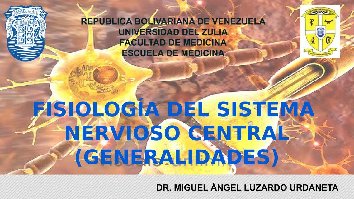 fisiologia SNC generalidades | LU | uDocz