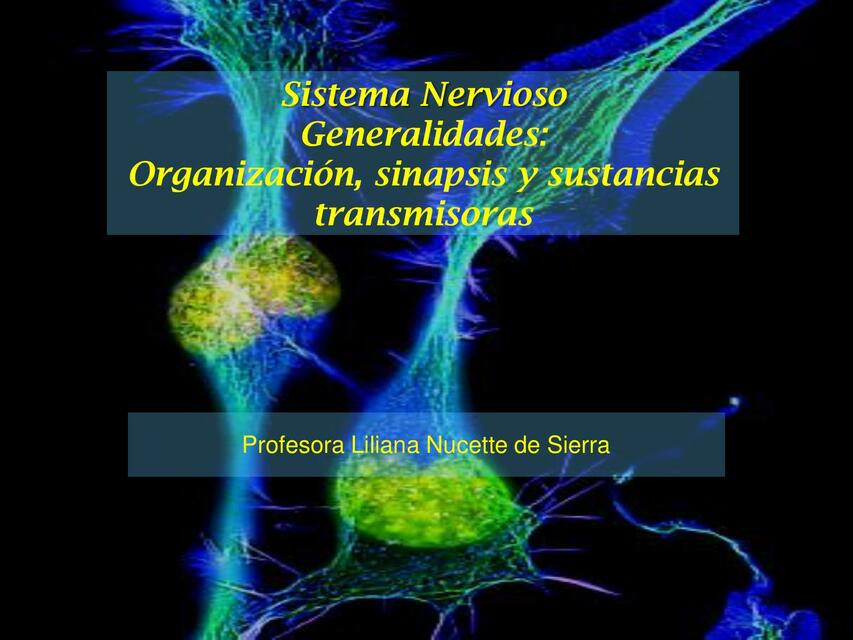 Generalidades de SNC | LU | uDocz