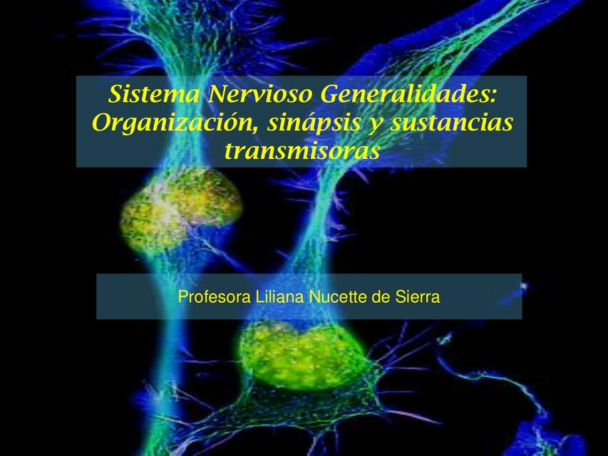 Generalidades de SNC | LU | uDocz