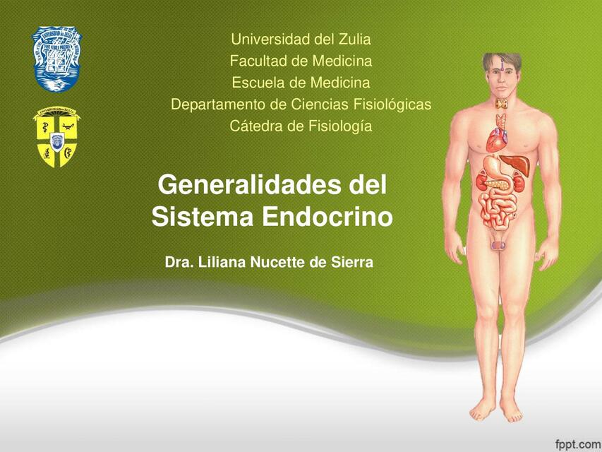 GENERALIDADES DE ENDOCRINO | LU | uDocz
