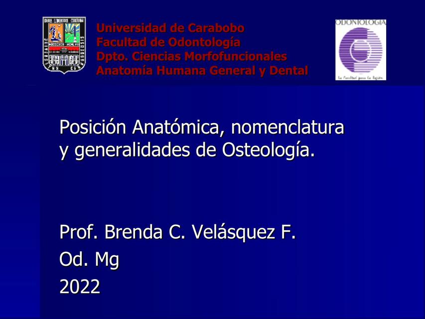 Nomenclatura Posición Anatomica | LU | uDocz