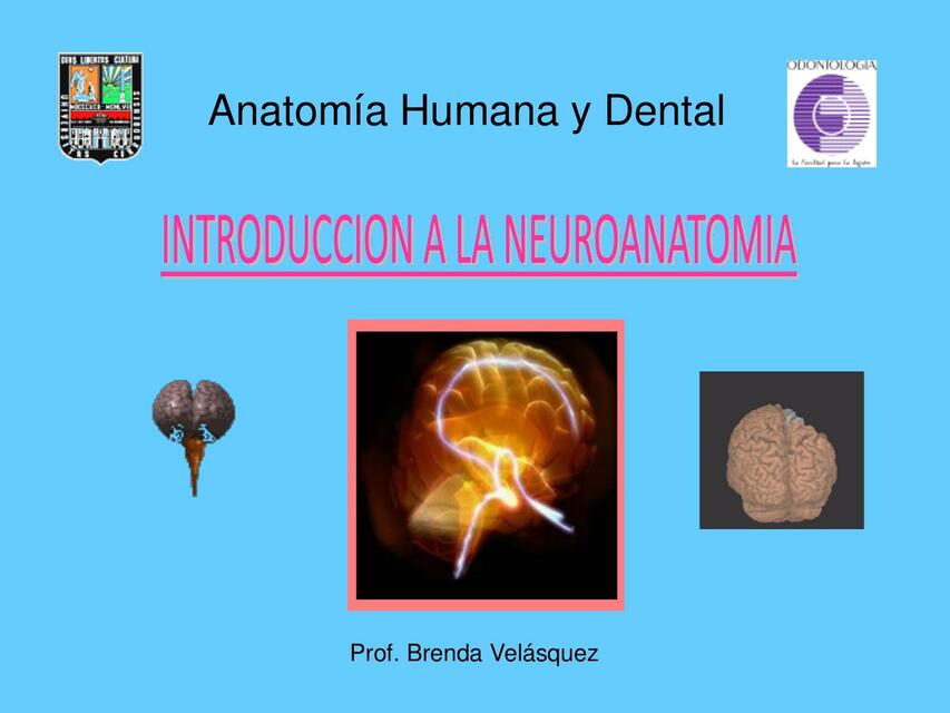 GENERALIDADES DE NEURO 1 | LU | uDocz