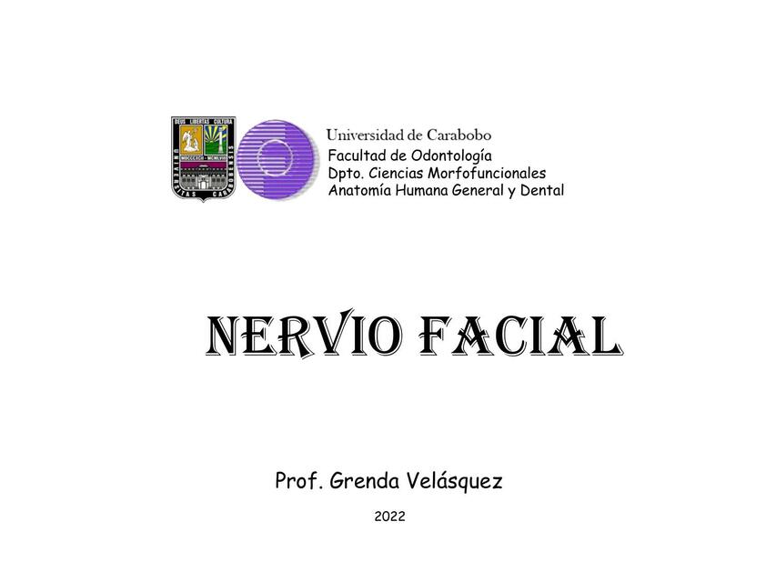 Nervio Facial pdf | LU | uDocz