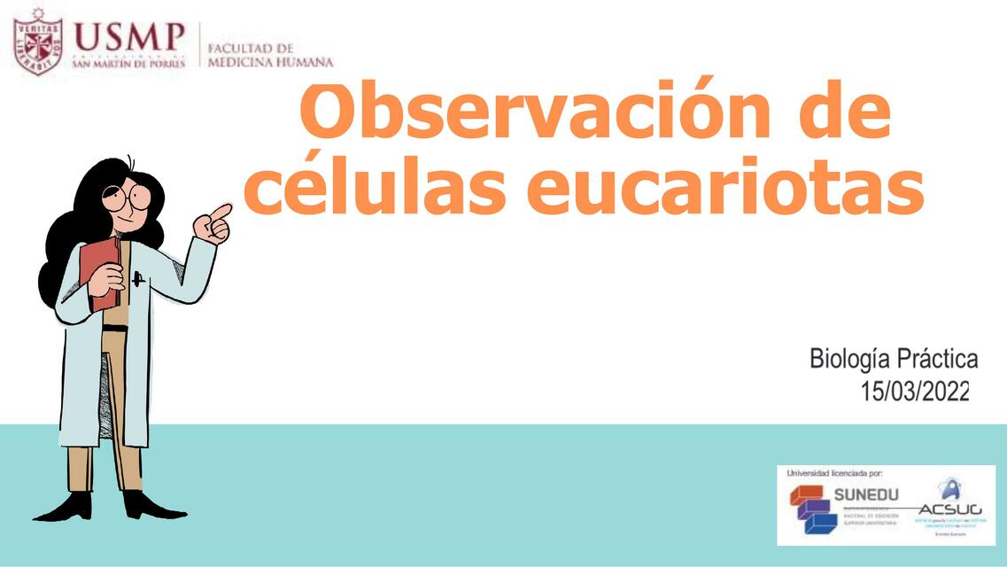 EXPOSICION 4 | MedStudent | uDocz