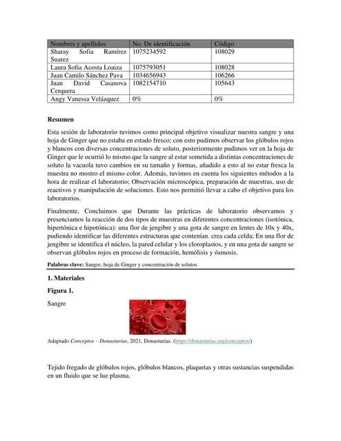 Infolab | sofia | uDocz