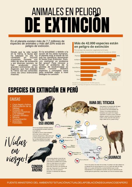 Infografía: animales en peligro de extinción | HACHIKO05 | uDocz