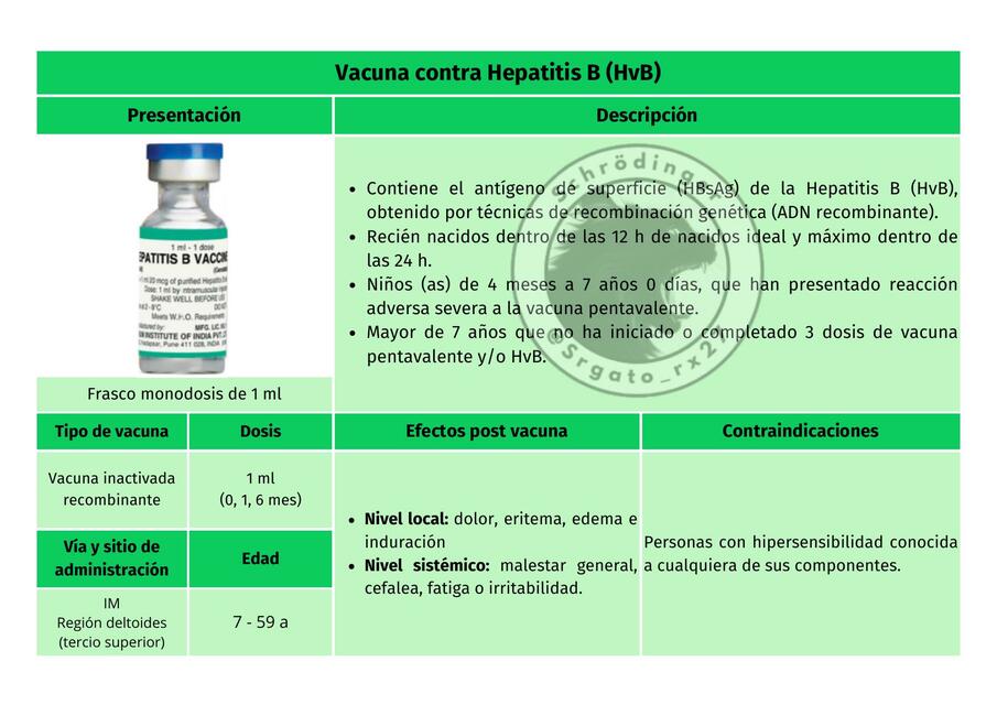 Vacuna contra Hepatitis B (HvB) | Piero | uDocz