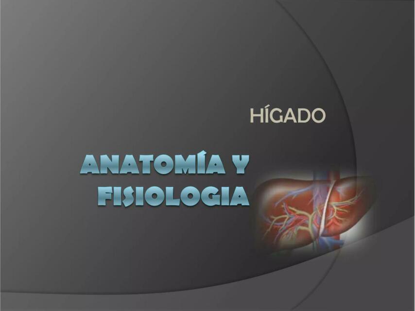 Anatomía y fisiología del hígado | LU | uDocz