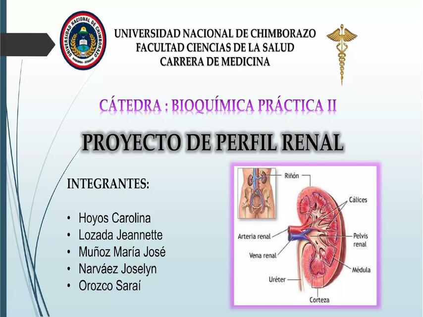 Perfil renal | LU | uDocz