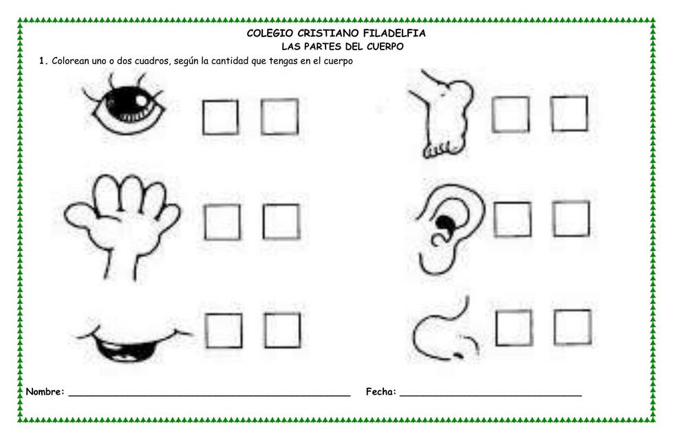 Flashcards de GUIA PARTES DEL CUERPO 02 FEBRERO | Por Diego Armando | uDocz