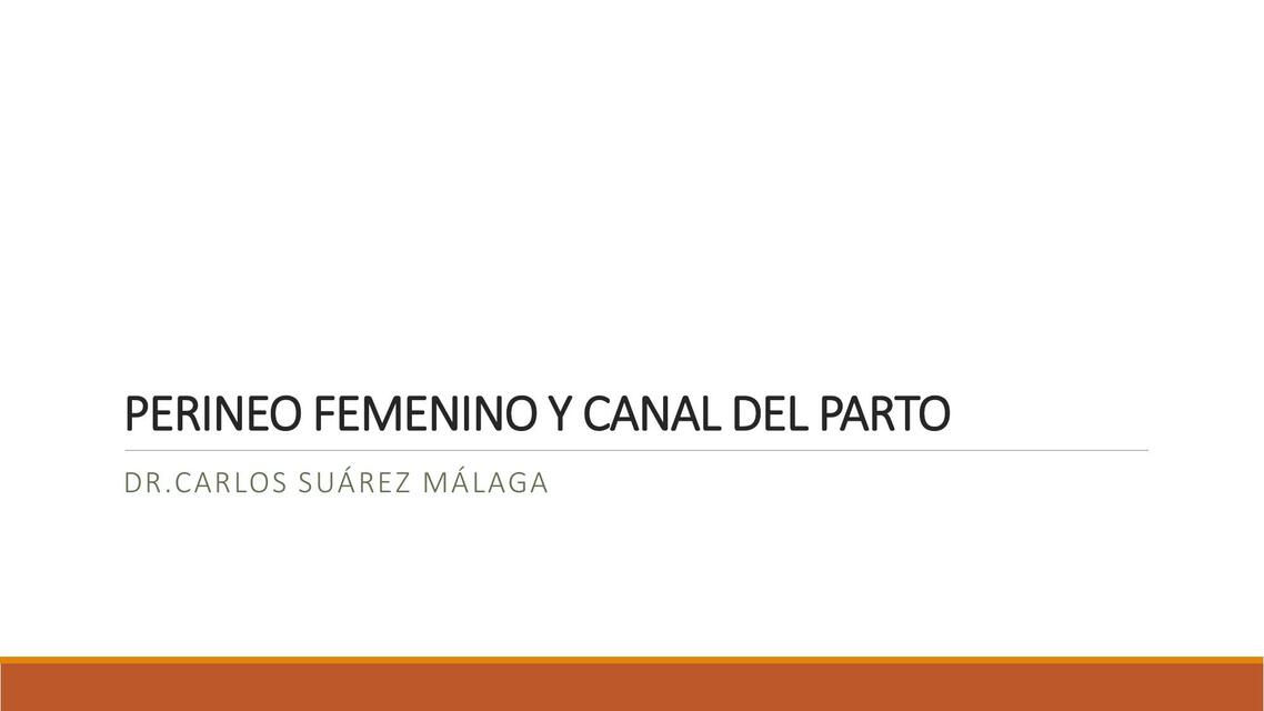 PERINEO ANTERIOR FEMENINO Y CANAL DEL PARTO 2 2 | Valeria Nicole ...