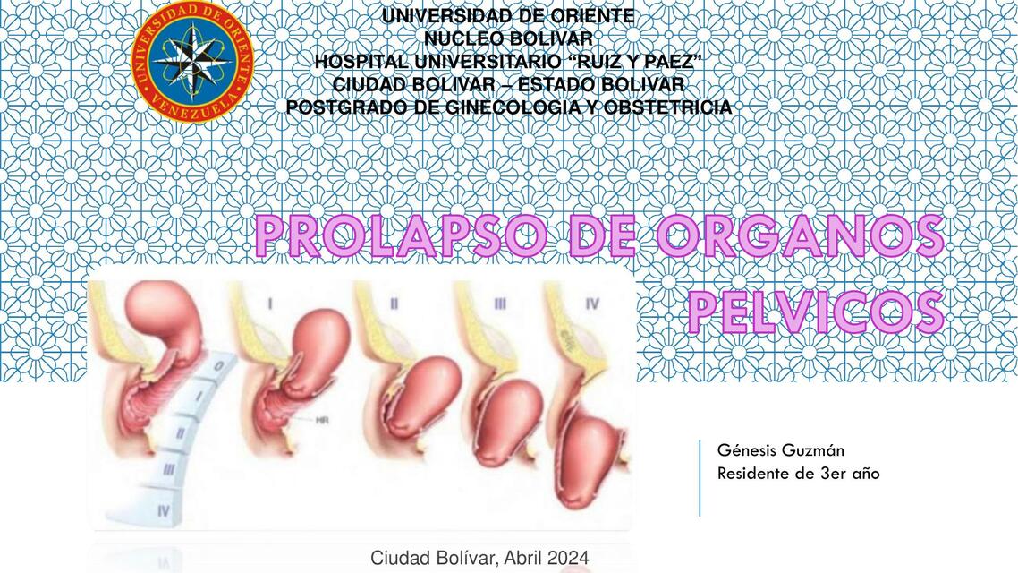 Presentación prolapso de organos pelvicos 3 | Genesis Guzman | uDocz