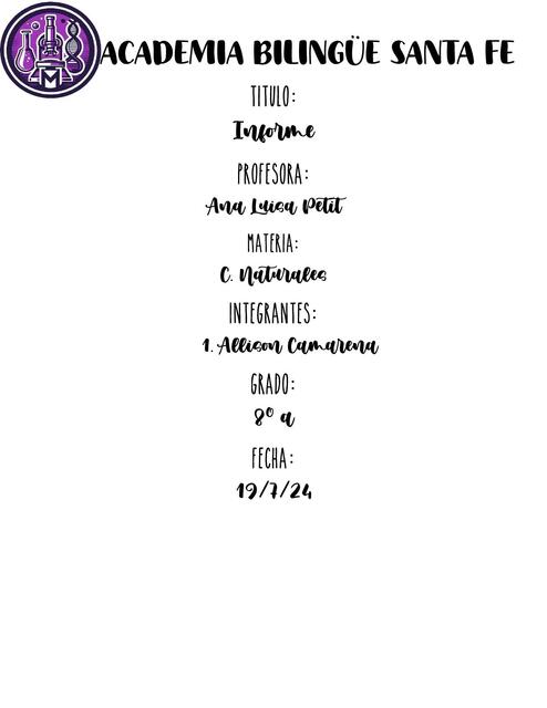 Informe 1 Allison Udocz