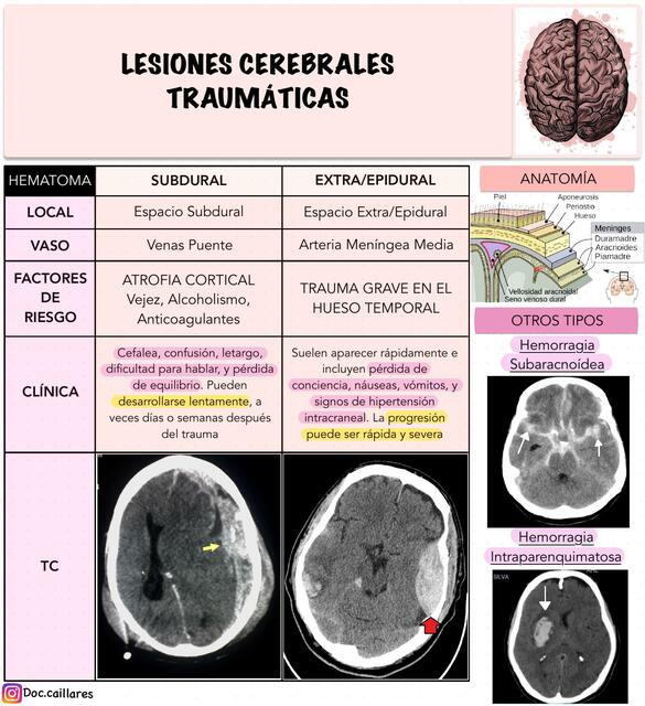 LESIONES CEREBRALES | Dr. Boris Moises Caillares Montaño | uDocz