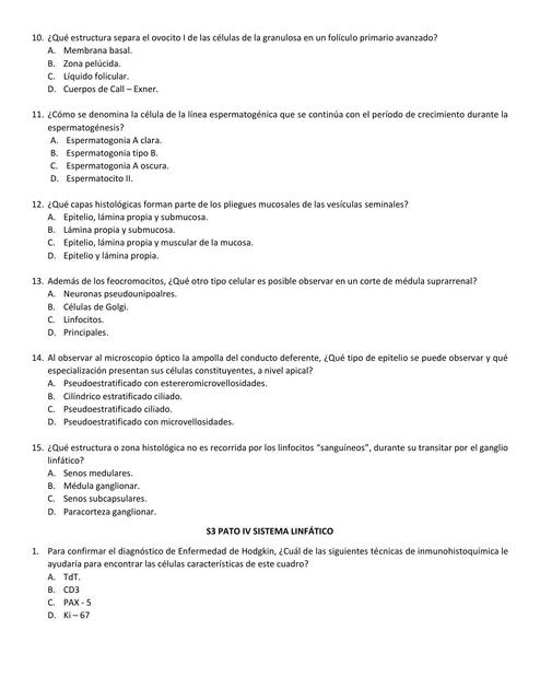 S3 MORFO IV | Alexandra Becerra | uDocz