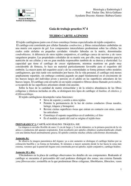 guia 4 cartilago | Bismarlina Noemi | uDocz