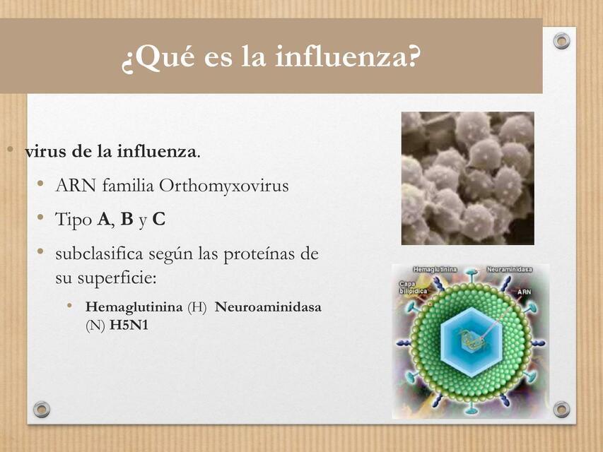 influenza/ enfermedad respiratoria | medi_fer | uDocz