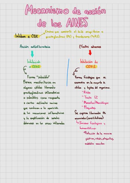 AINES | Areli Marron | uDocz