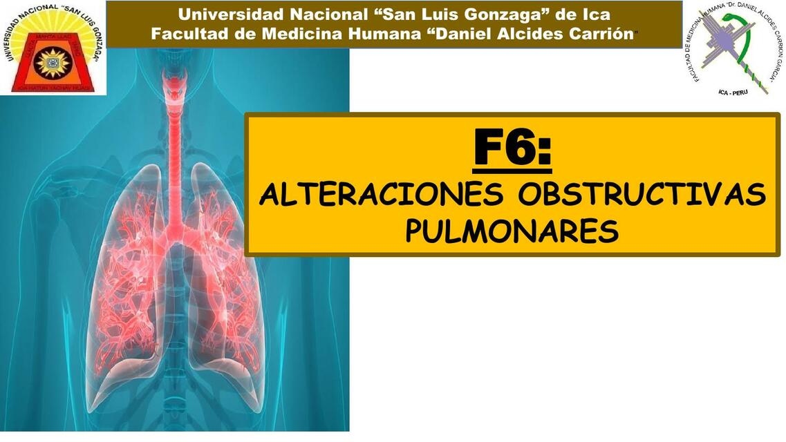 FORO 6 FISIOLOGIA | Alezka | uDocz