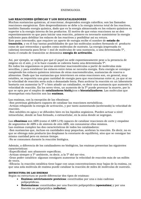 D Enzimologia Done | Paula | uDocz