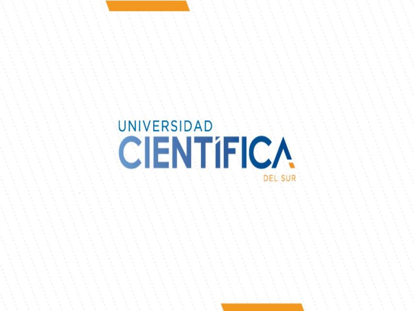 Desarrollo Físico Y Cognitivo En Niñez Media María Ramos Udocz