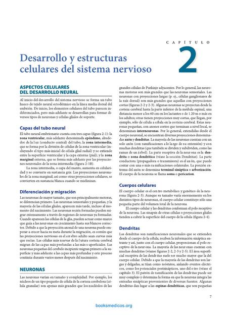 Desarrollo y estructuras del sistema nervioso Waxm | CAMILA JELENA | uDocz