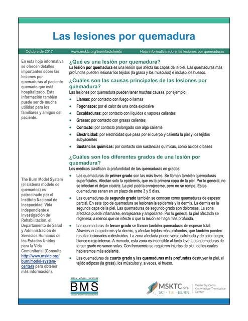 Las lesiones por quemadura | ALDANA GABRIELA CASTA EDA PAREDES | uDocz