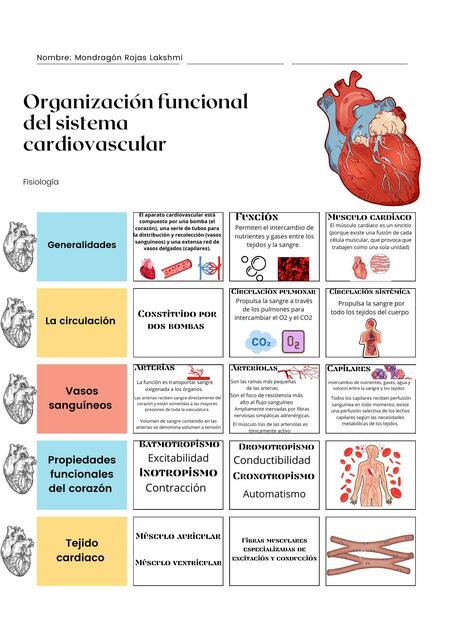 CARDIOVASCULAR | lakshmi | uDocz