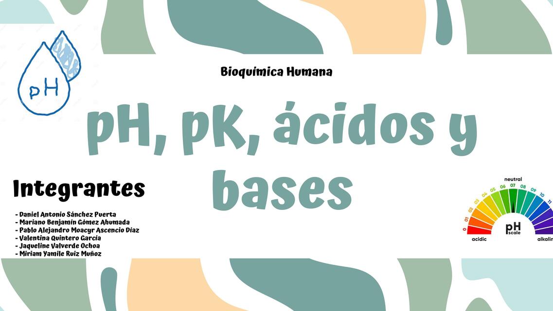 Exposición del Ph PK Ácidos y Bases | Jaqueline | uDocz