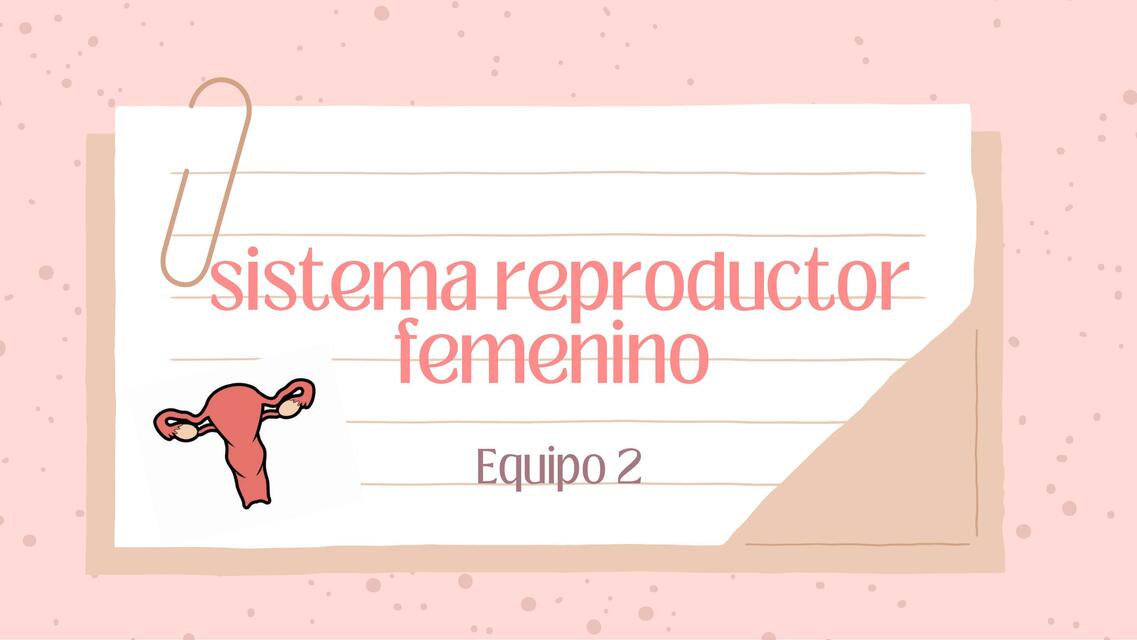 Aparato reproductor femenino Anato | Luz Crisanto | uDocz
