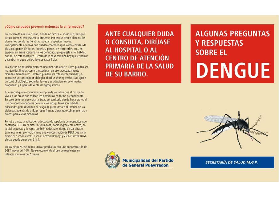 Dengue | Litzy | uDocz