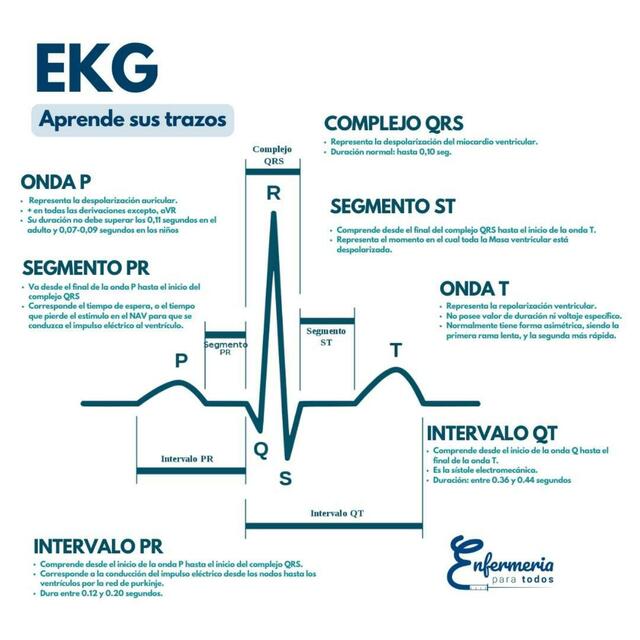 2 IMG | YUDOC.ORG | uDocz