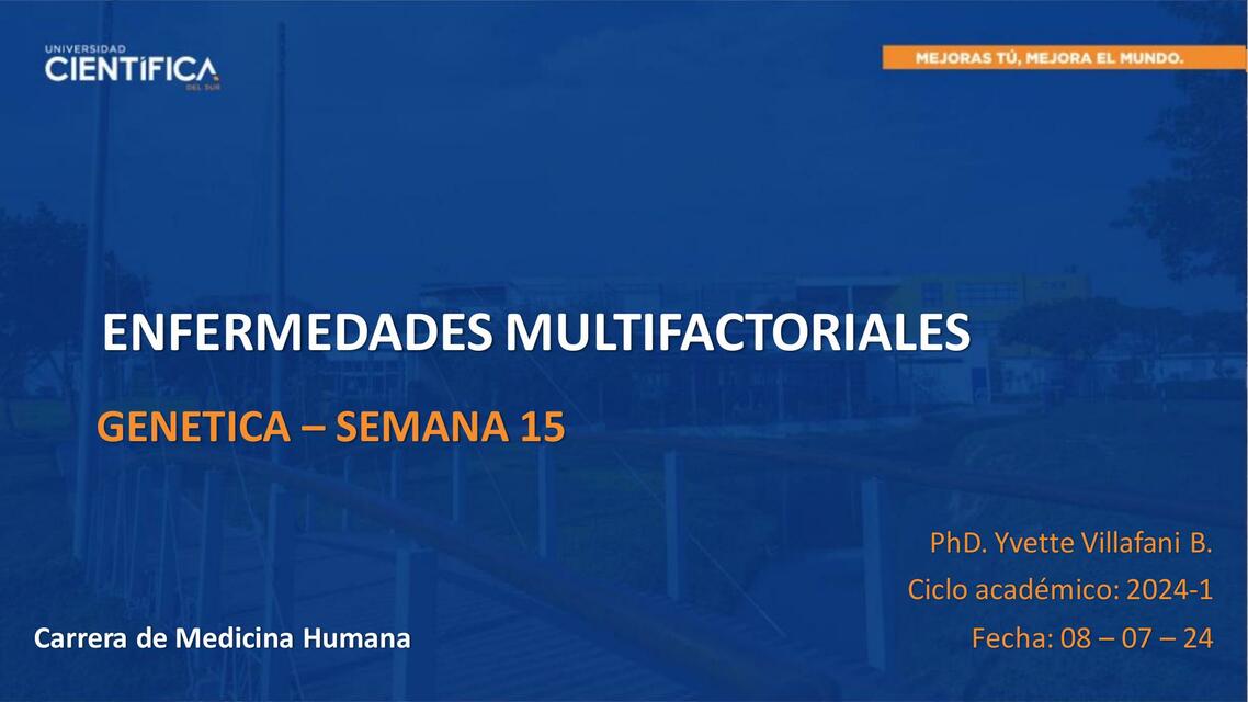 PPT GENÉTICA SEMANA 15 | Romina Amparo Ventura Quispe | uDocz