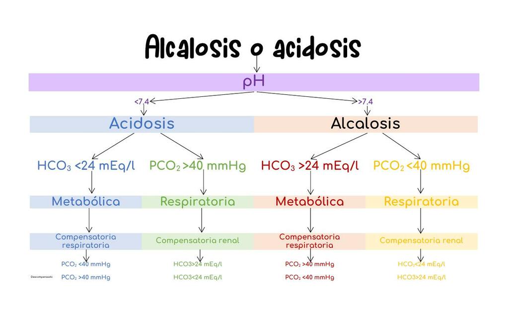 EQUILIBRIO ÁCIDO-BASE | Medic_notes | uDocz