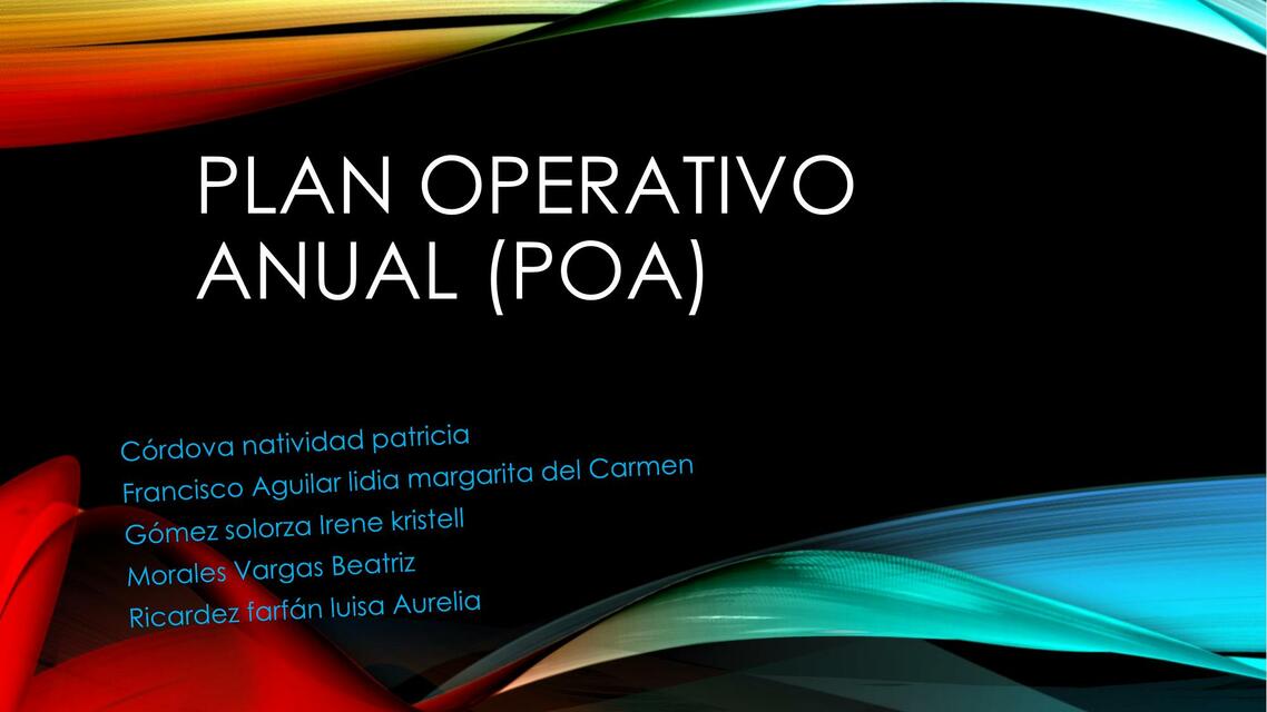 Plan Operativo Anual Poa | Liz | uDocz