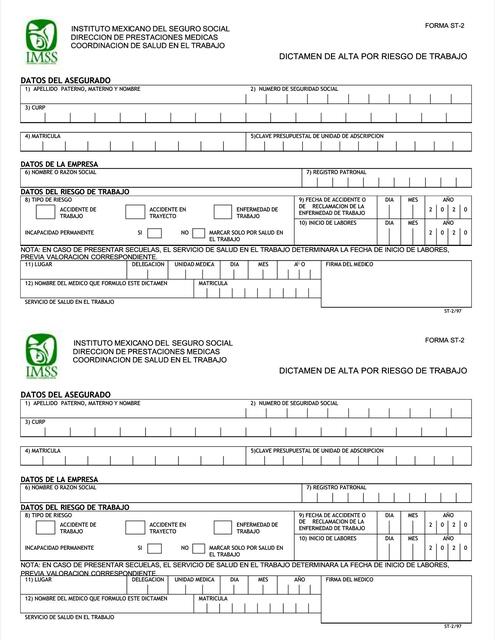 Formato ST 2 Dictamen de alta por riesgo de trabaj | Manuel | uDocz