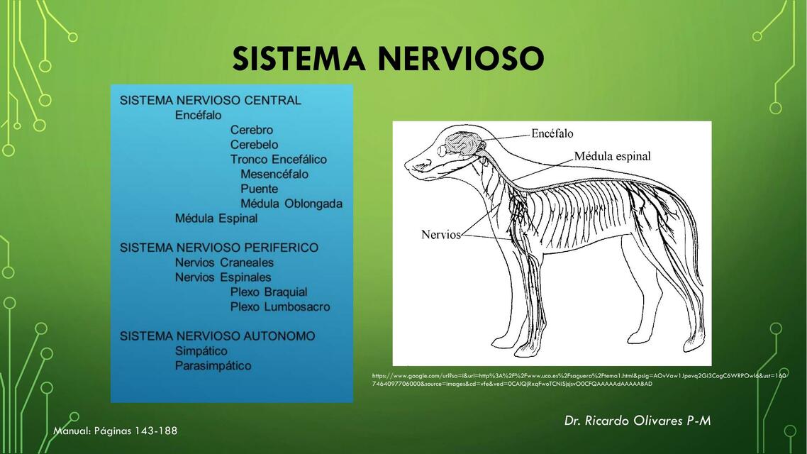 SN Vision Audicion | Mayra | uDocz