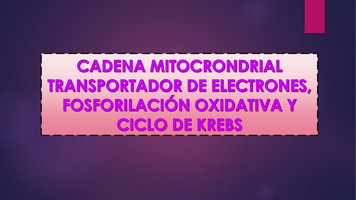 EXPOSICION | Alezka | uDocz