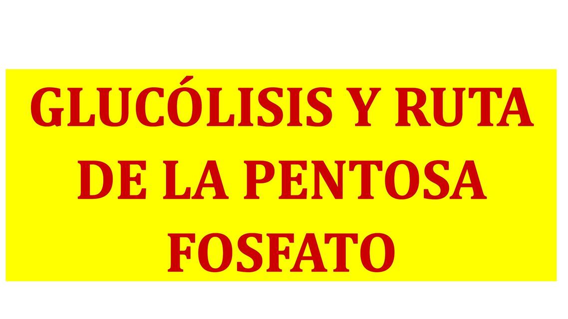 GLUCOLISIS Y PENTOSA FOSFATO 2 1 | Alezka | uDocz